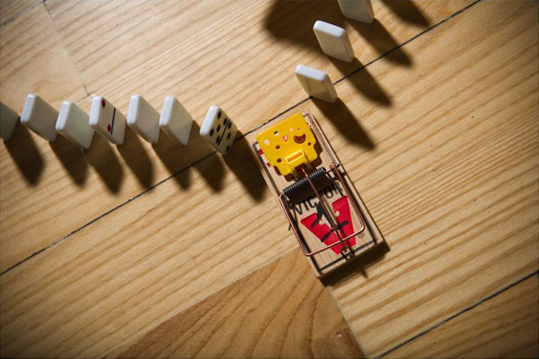 How To Mouse Proof Your Home How To Mouse Proof Your Home